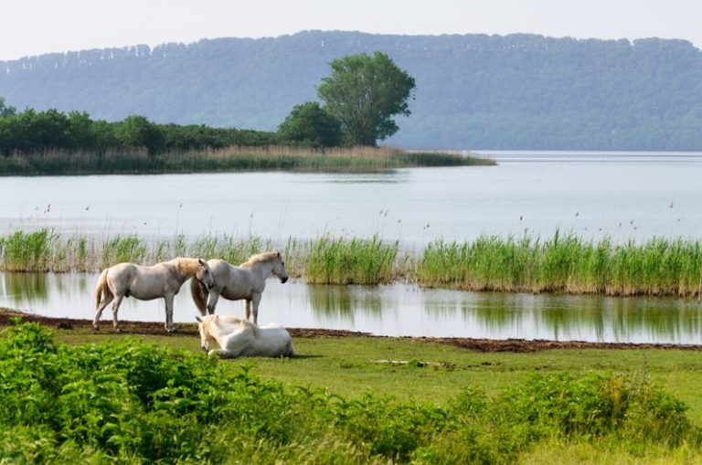 Lago di Vico | Cosa vedere e cosa visitare | Lazio Nascosto